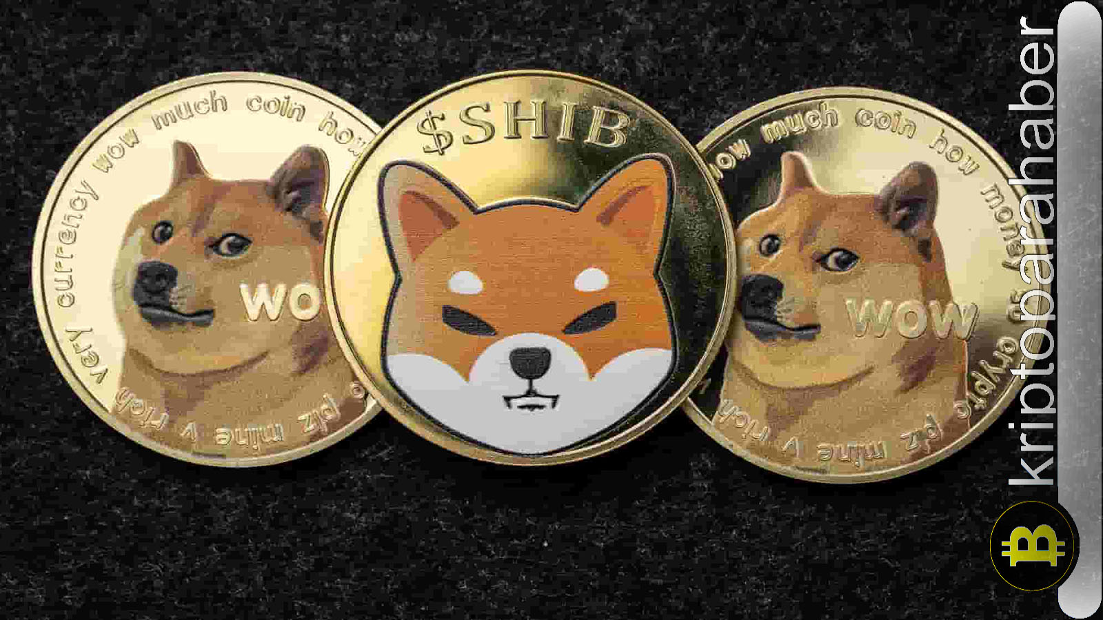 Meme coin rallisi başladı: İşte günün en çok kazanan lider meme paraları...