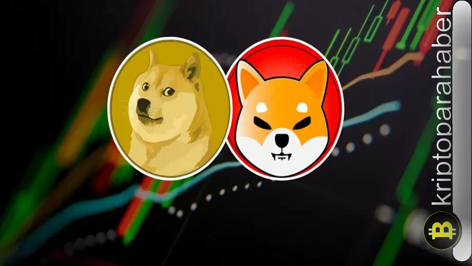 Meme coin piyasasında panik: SHIB ve DOGE fiyatı neden yükselmiyor?